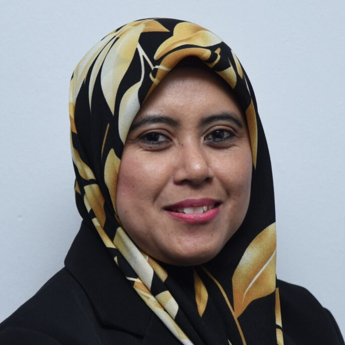 Staff | Institute of High Voltage and High Current (IVAT)